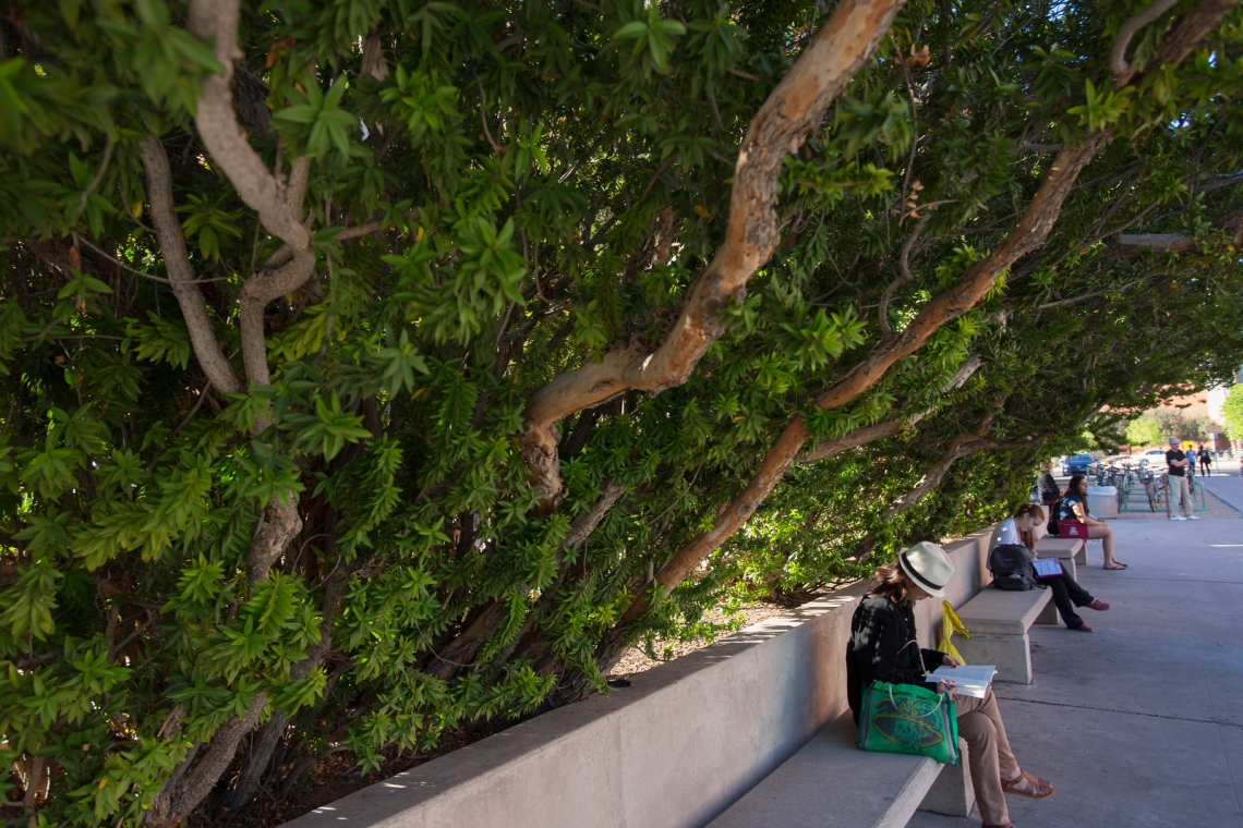 UArizona kicks off plan to go carbon-neutral by 2040 | Arizona ...