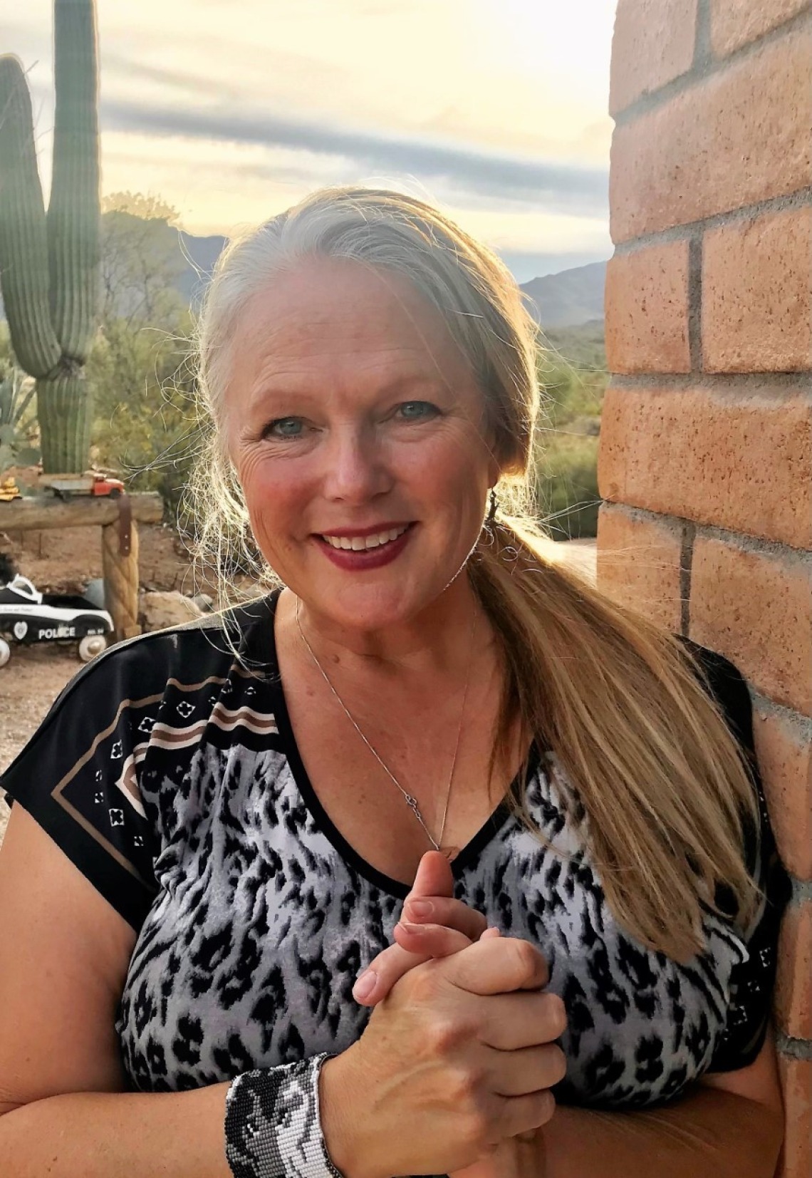 Tumamoc Talks | Arizona Institute for Resilience